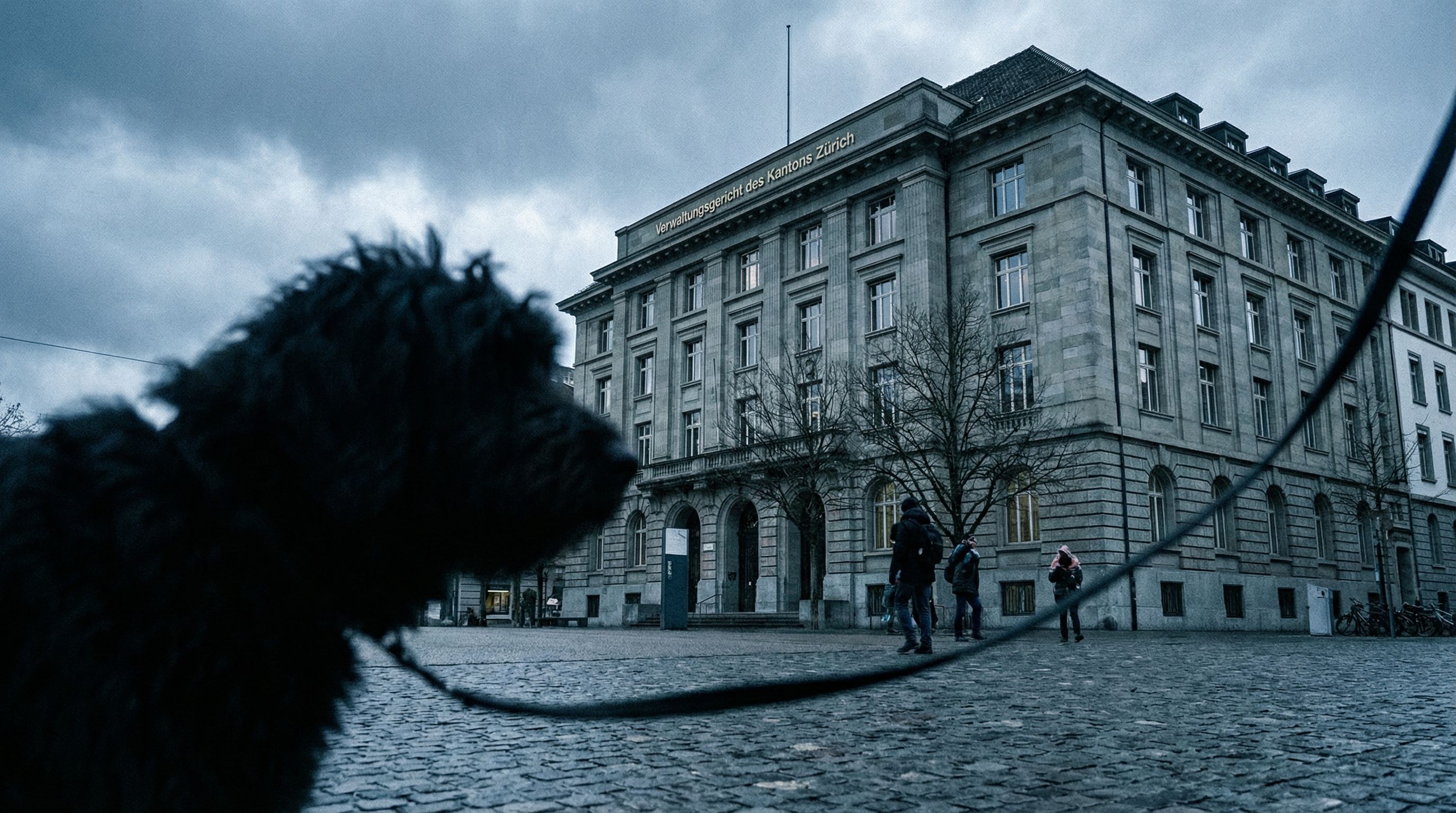 Zurich Implements Controversial Rottweiler Ban Despite Appeals